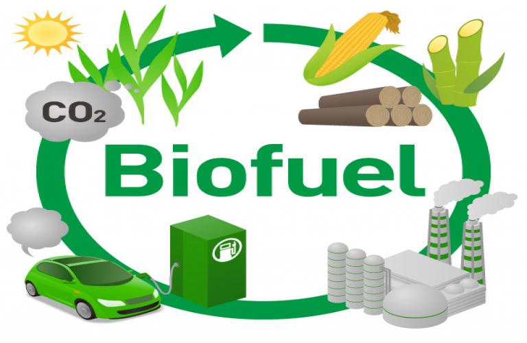 Rajasthan Biofuel Policy